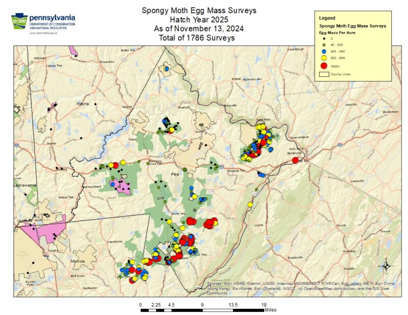 Spongy Moth - Milford Township Pike County